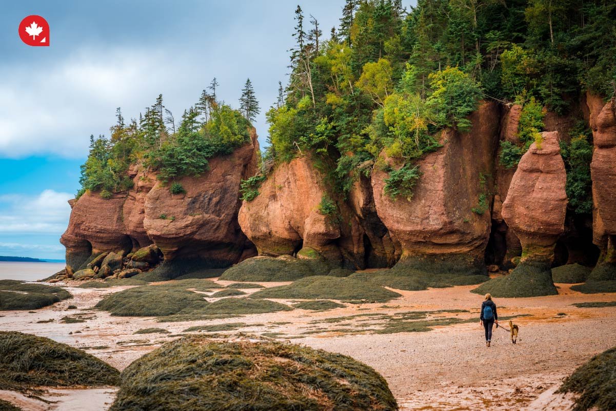 Canada AIPP - A Step By Step Process to Apply | CanadianVisa