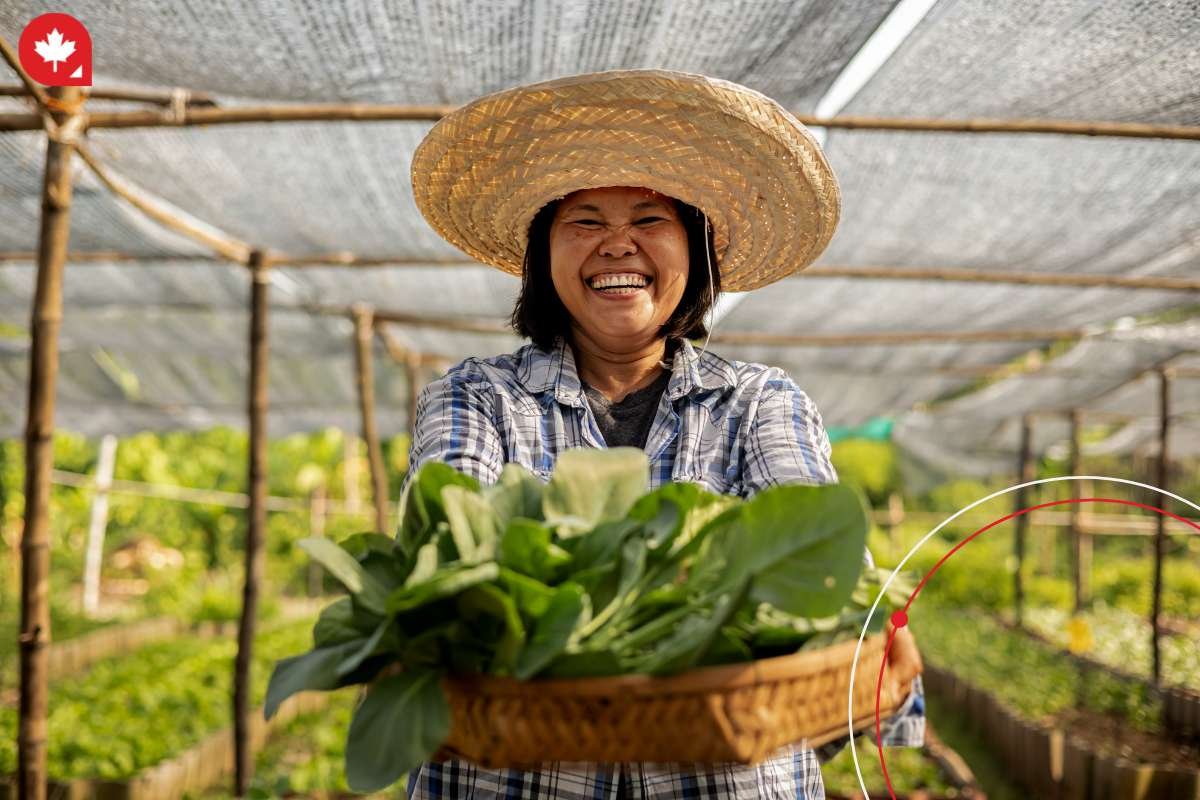 New Canadian Immigration Program Opens for Canada's Rural Regions ...