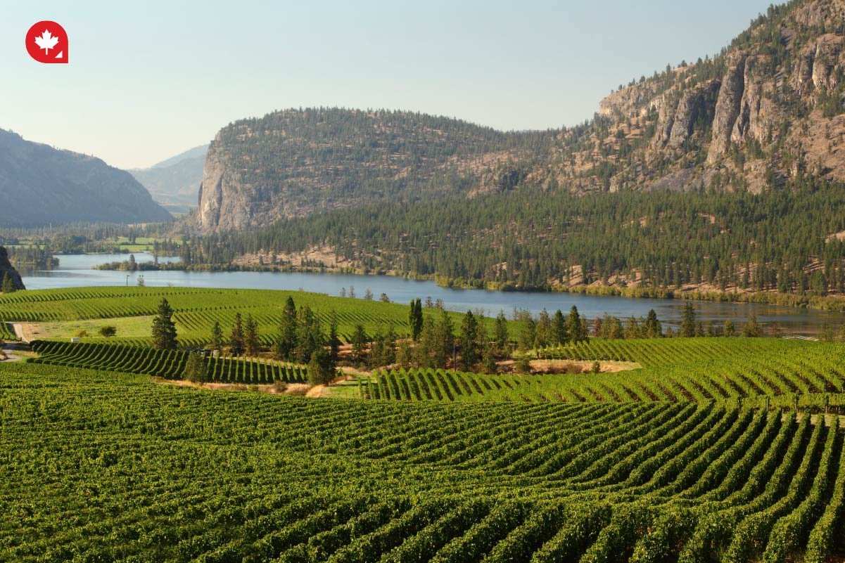 Life in Urban vs Rural Canada | CanadianVisa